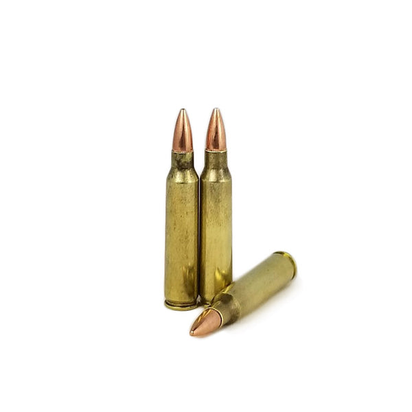 Shop 223 Remington Ammo at the Best Price - Defender Ammunition